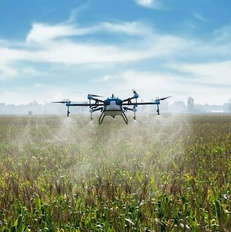 About – Hummingbird Technologies PTY (LTD)